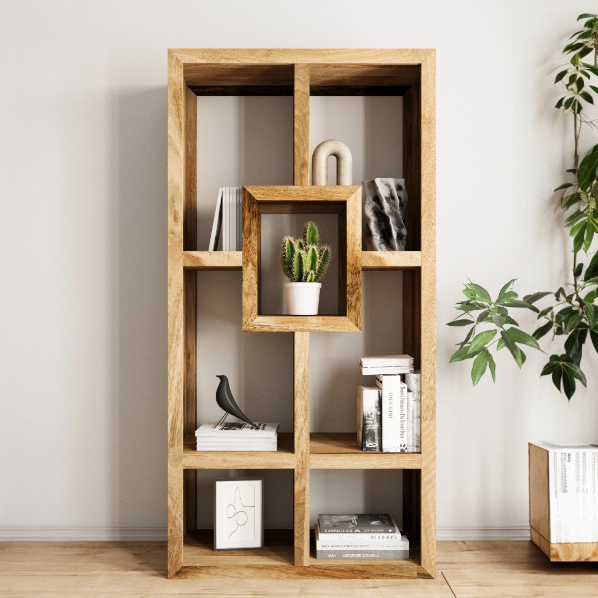 Cube Mango Display Unit